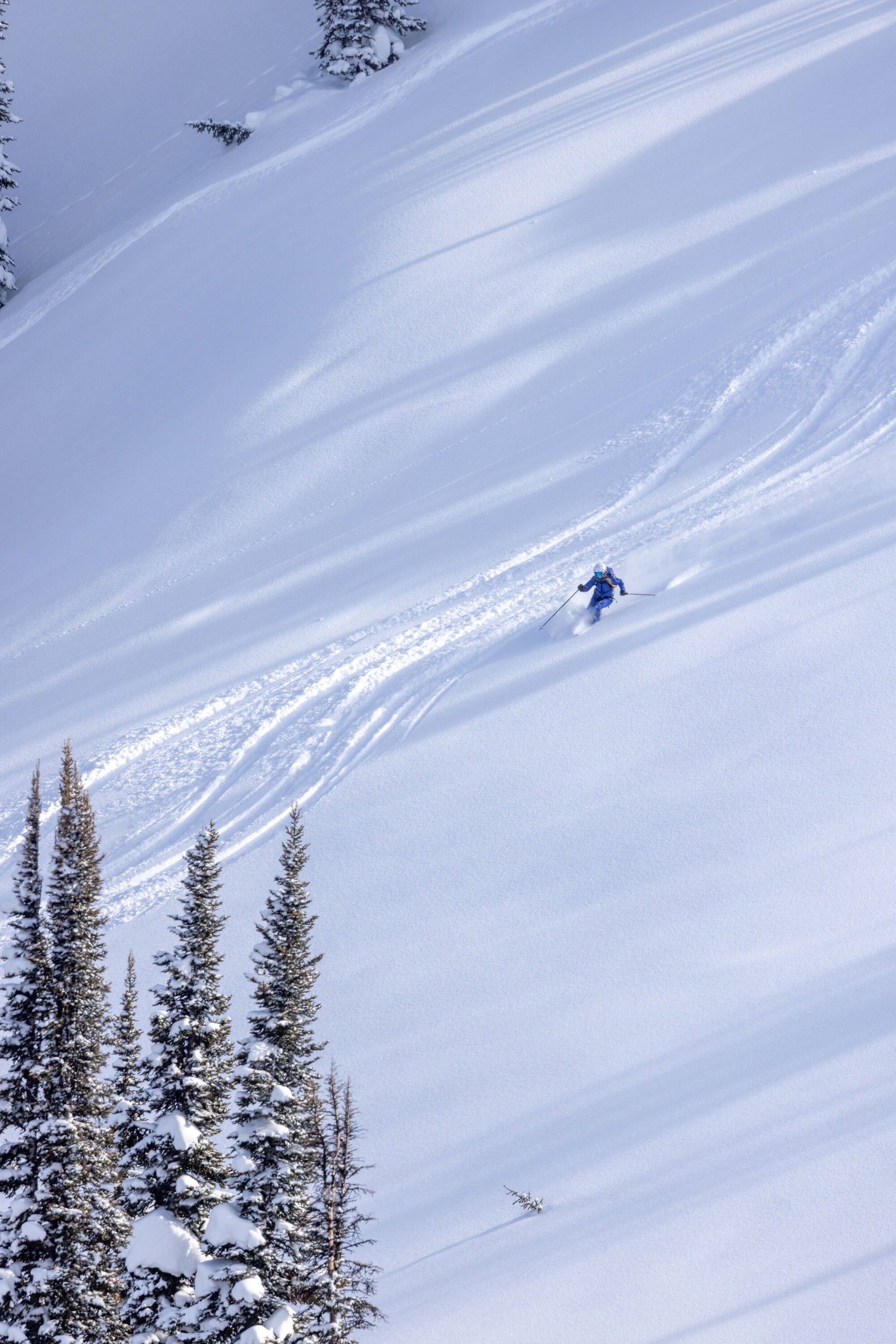 Men's Ascent Insulated Ski Bib - schoeller c_change wool | Alps & Meters